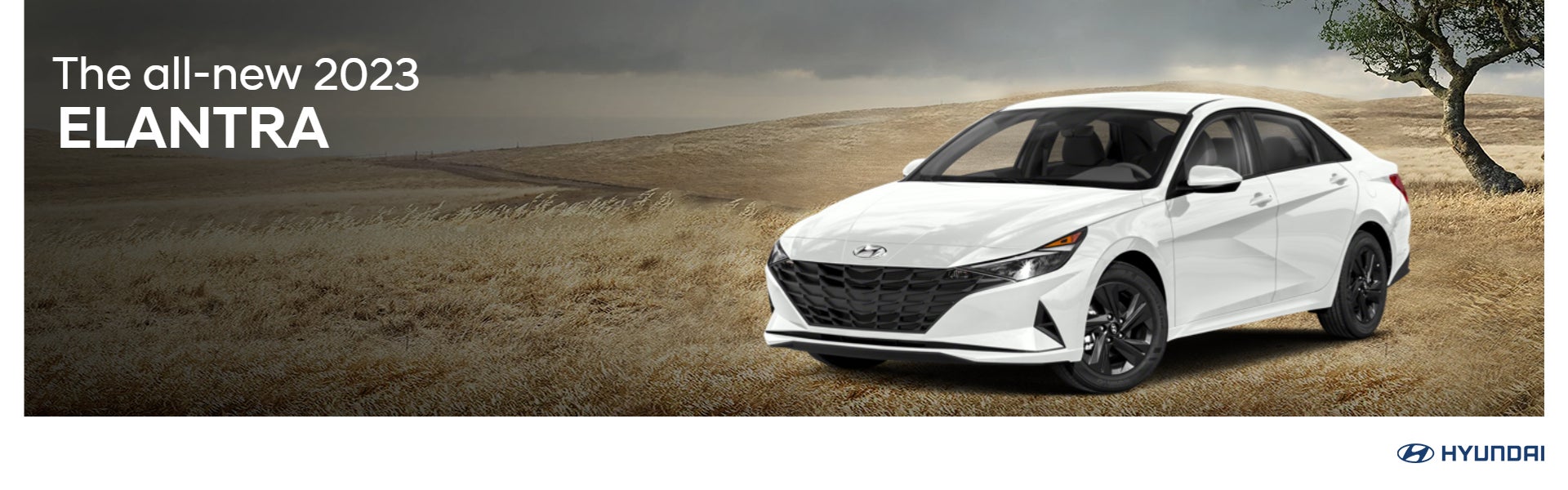 Hyundai Dealer | Hyundai For Sale In Waipahu, HI | Tony Hyundai